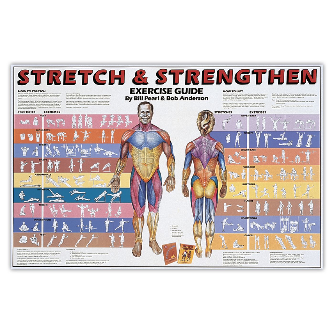 Anatomical Charts & Stands | Medco Sports Medicine